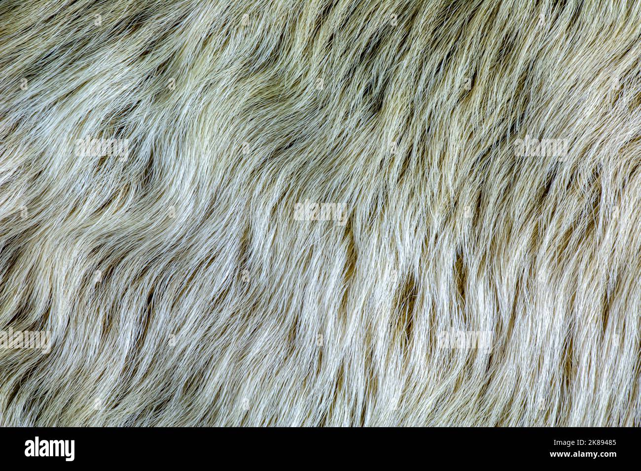 Fox fur textures. Fox shaggy fur texture. Abstract fabric. Fluffy rusty ...