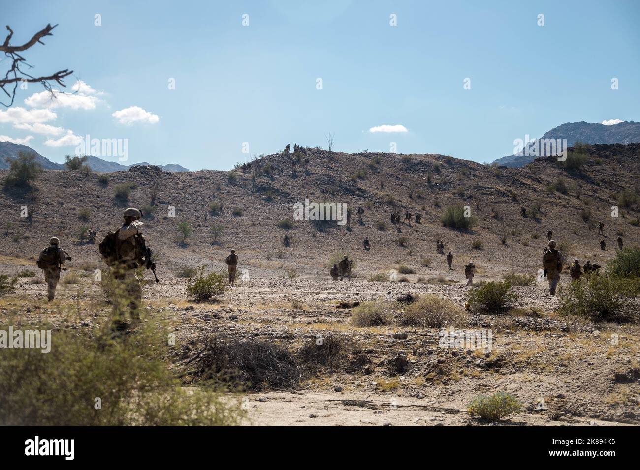 U.S. Marine Corps infantrymen with 2nd Battalion, 7th Marine Regiment ...