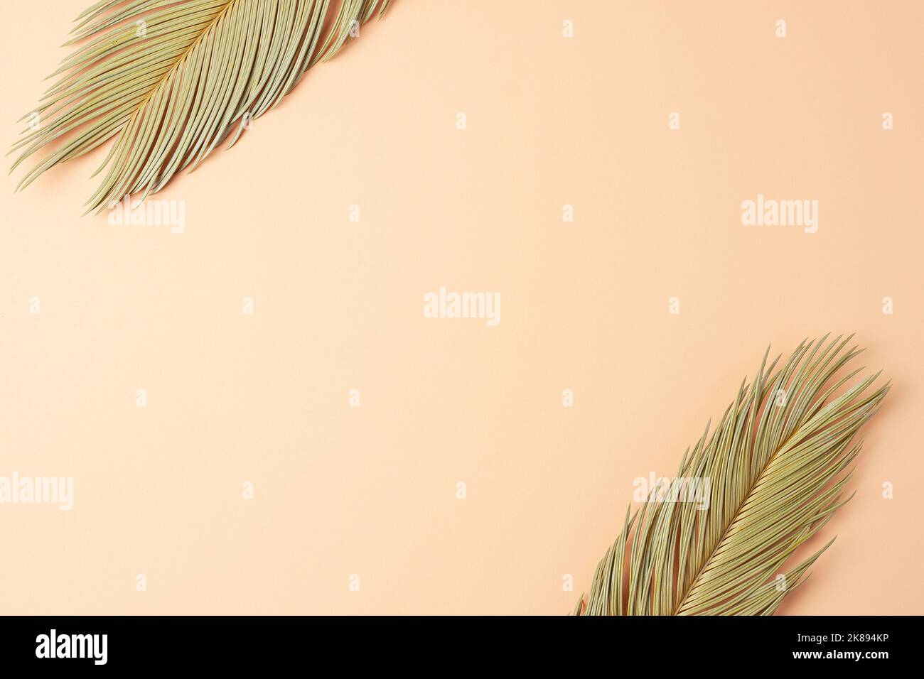 Tropical background with palm leaf on pastel beige. Flat lay, copy ...