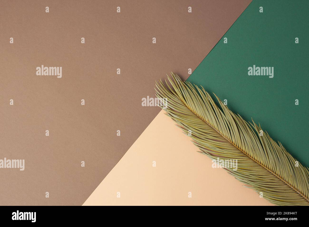 Tropical background with palm leaf on brown, green and beige. Flat lay ...
