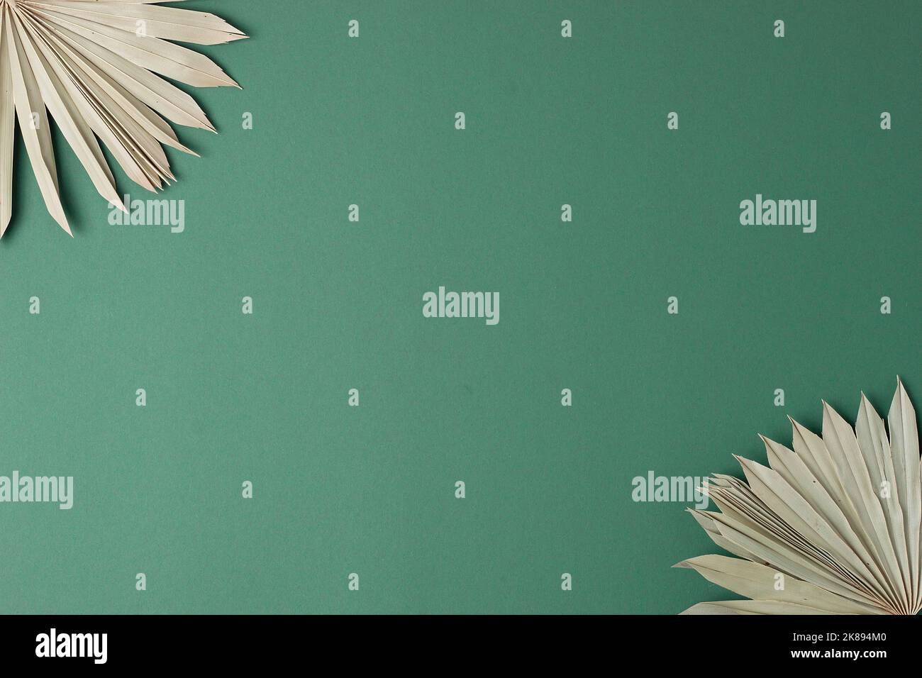 Tropical background with palm leaf on green. Flat lay, copy space Stock ...