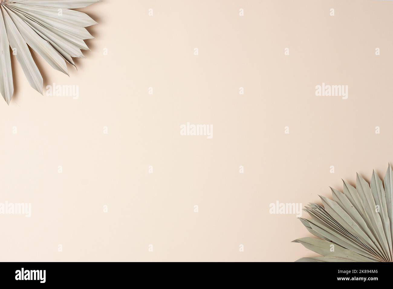 Tropical background with palm leaf on pastel beige. Flat lay, copy ...