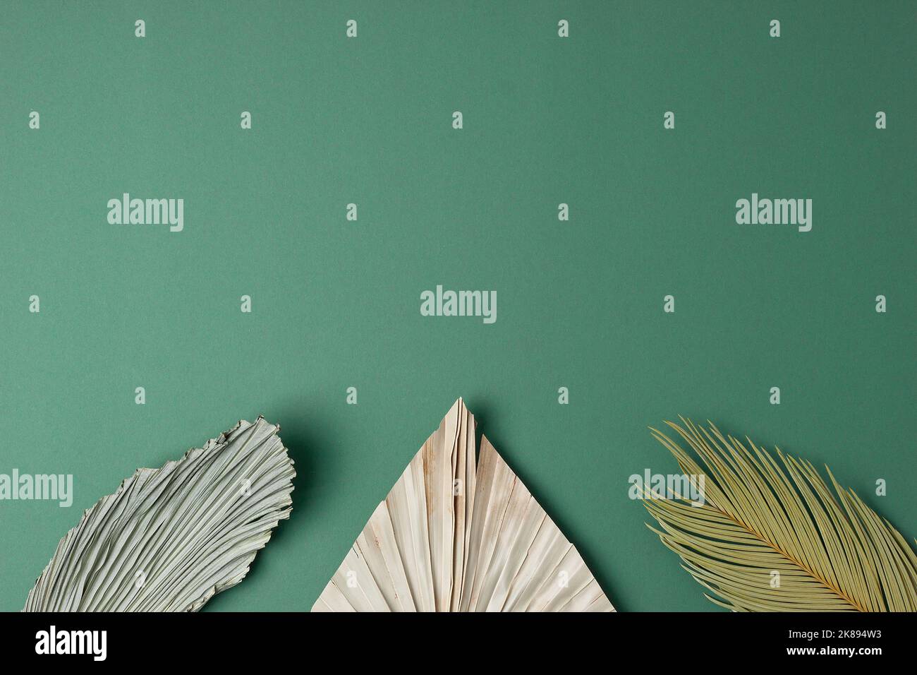 Tropical background with palm leaf on green. Flat lay, copy space Stock ...