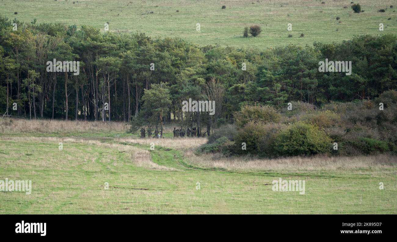 British army infantry soldiers hidden amongst treeline prepare for a ...
