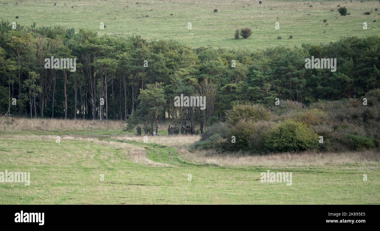 British army infantry soldiers hidden amongst treeline prepare for a ...