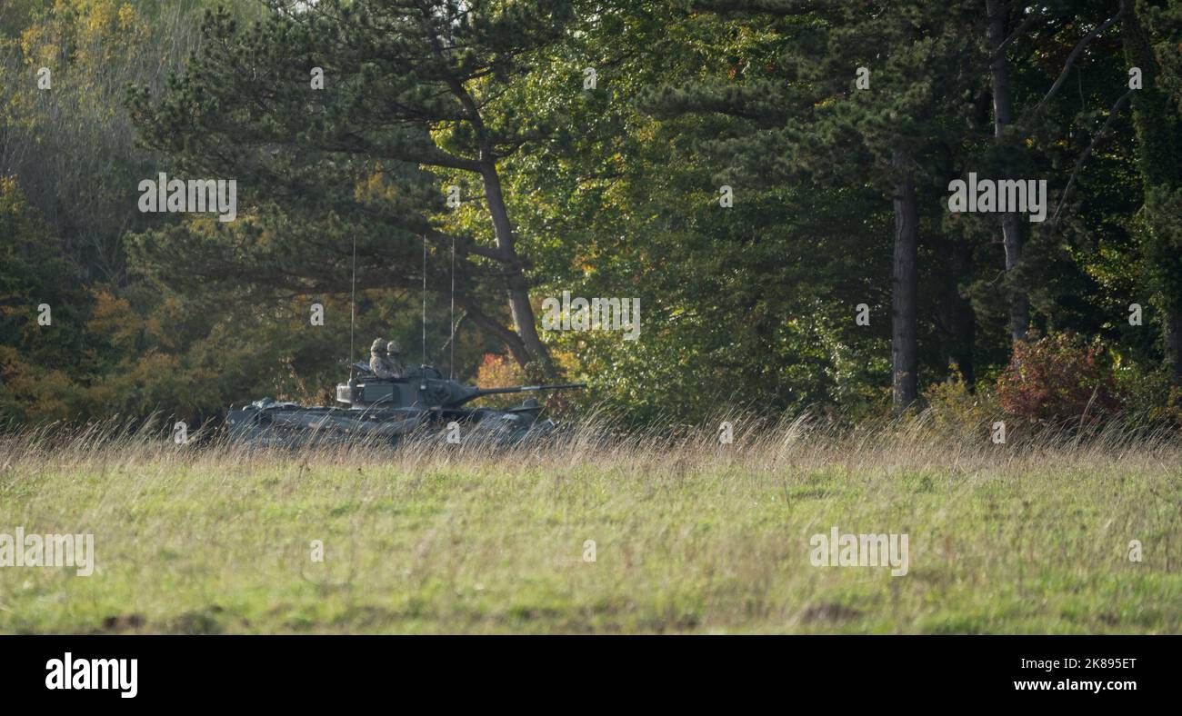 British army FV510 Warrior Fighting Vehicle manoeuvres through woodland ...