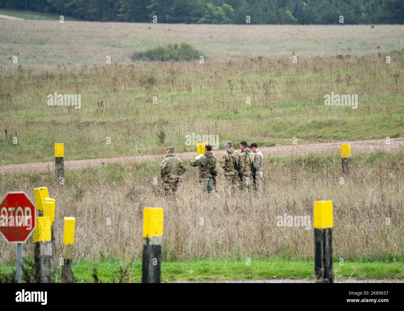 several British army soldiers equipped with telescopic sighted rifles ...