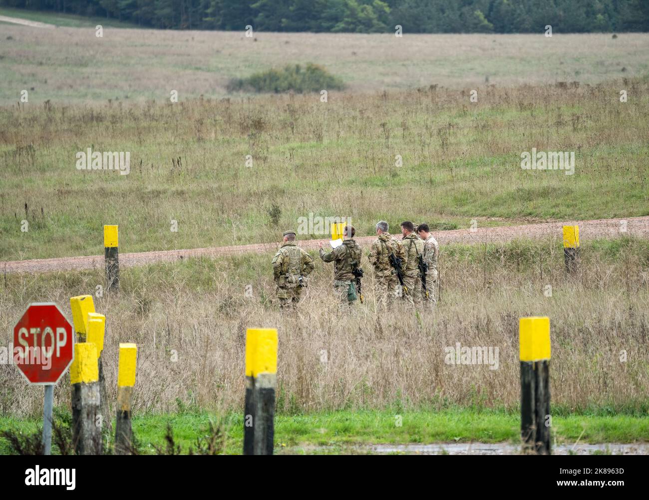 several British army soldiers equipped with telescopic sighted rifles ...