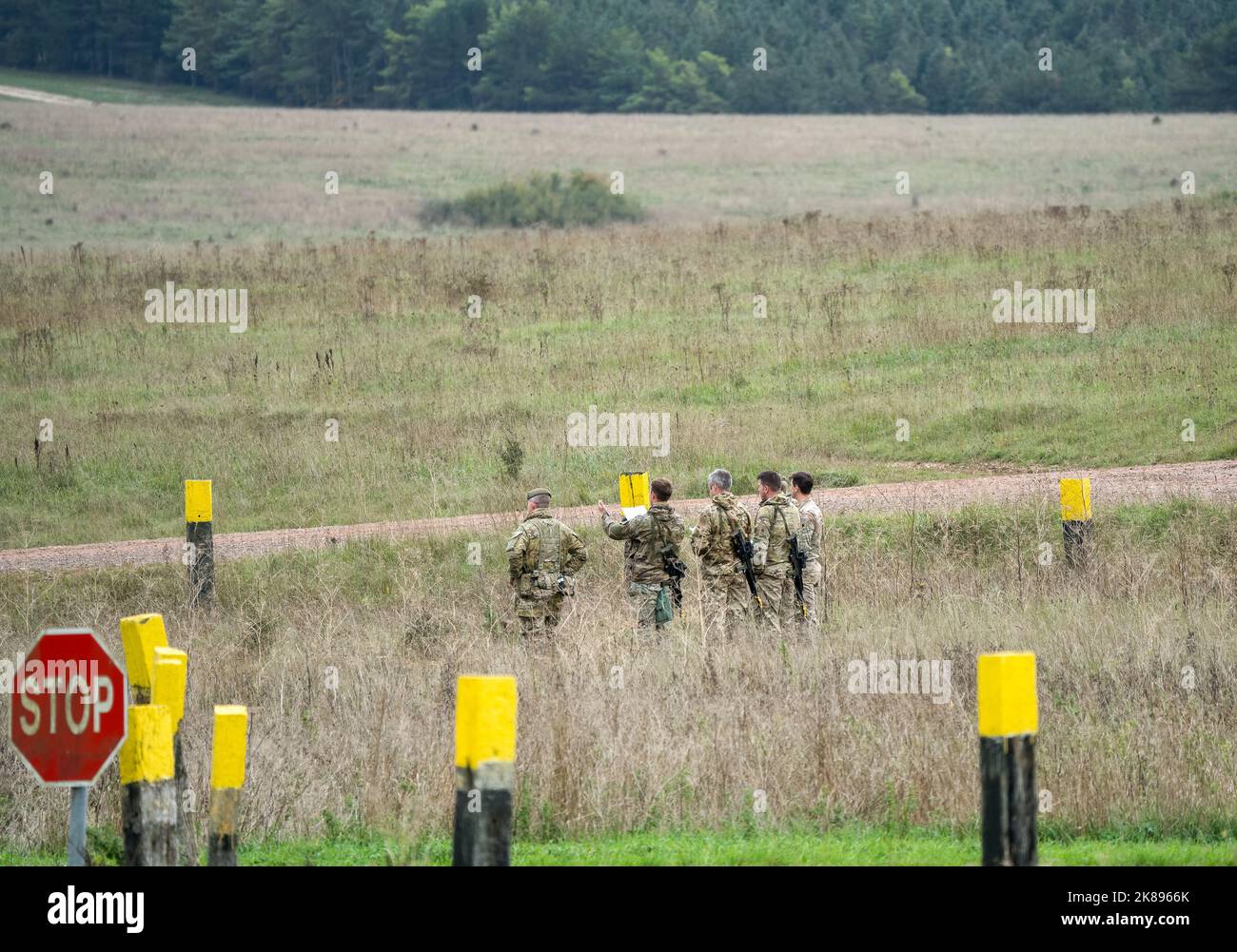 several British army soldiers equipped with telescopic sighted rifles ...