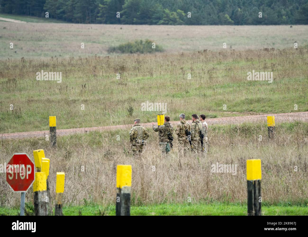 several British army soldiers equipped with telescopic sighted rifles ...