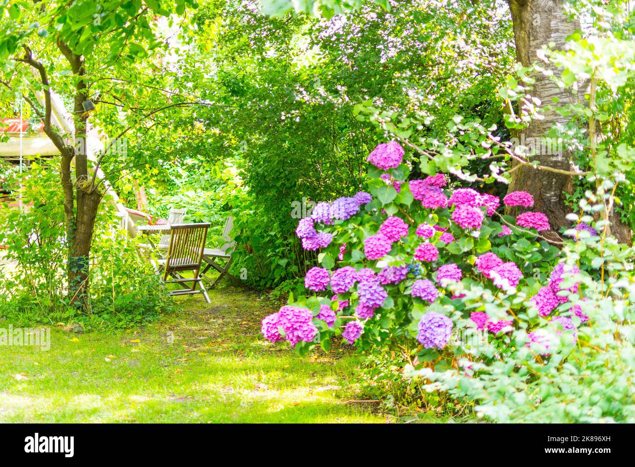 Overgrown front garden hi-res stock photography and images - Alamy