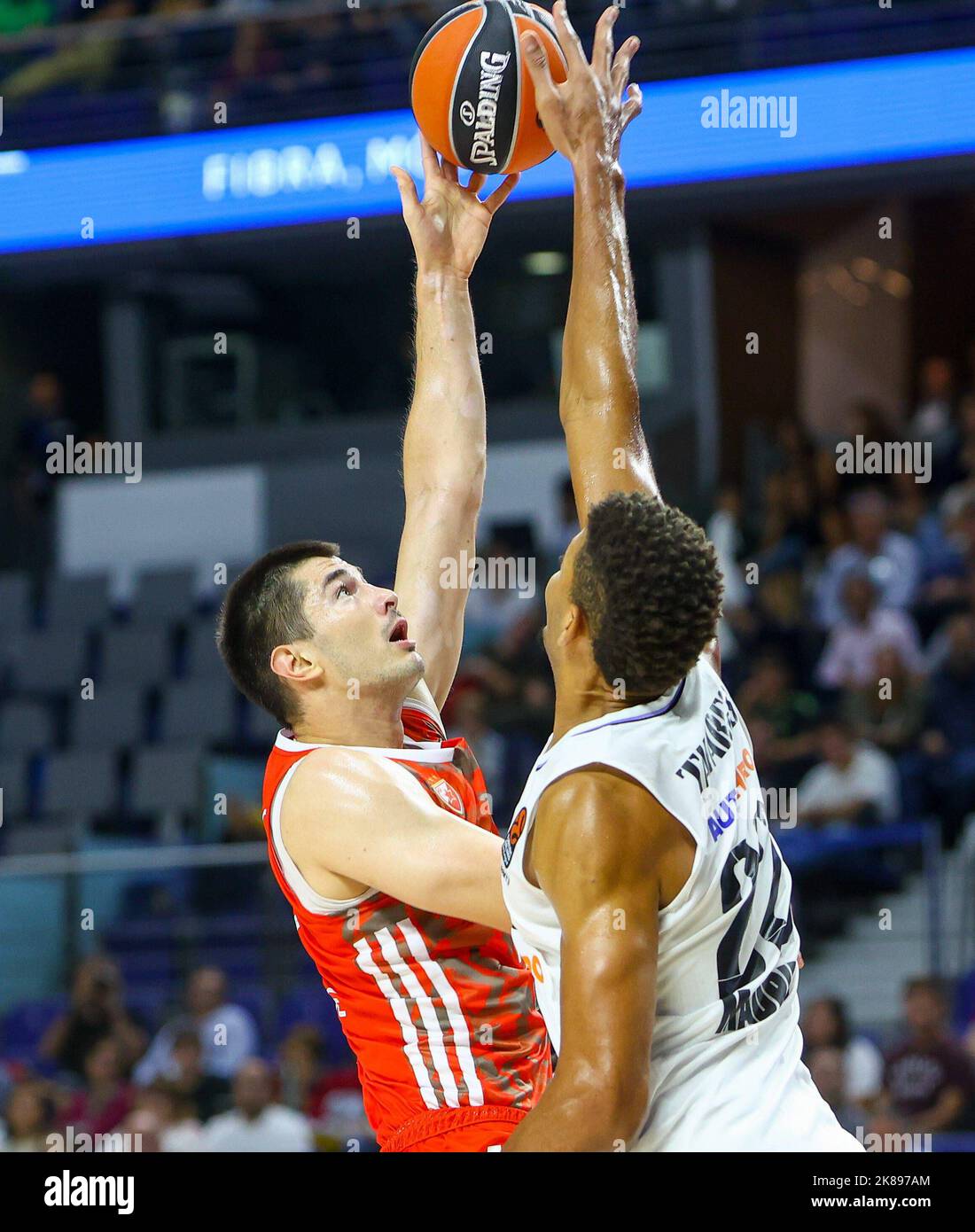 Luka mitrovic basketball hi-res stock photography and images - Alamy