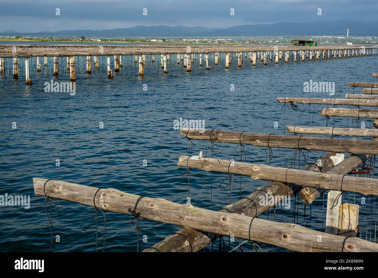In Fangar Bay mussels and oysters are farmed. Ebro Delta Nature Reserve ...