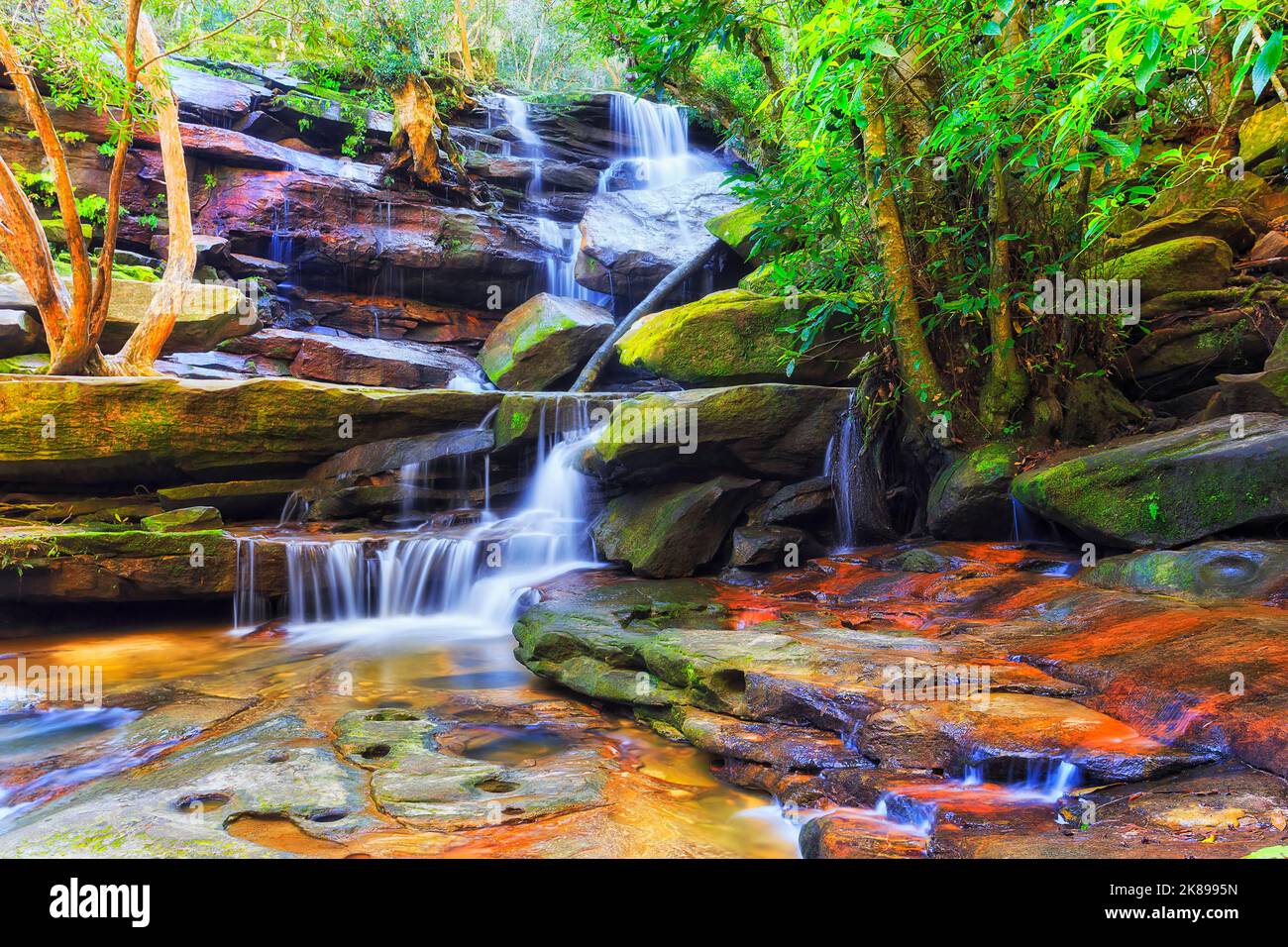Scenic rocks and waterfall cascade of Somersby falls in rainforest of ...