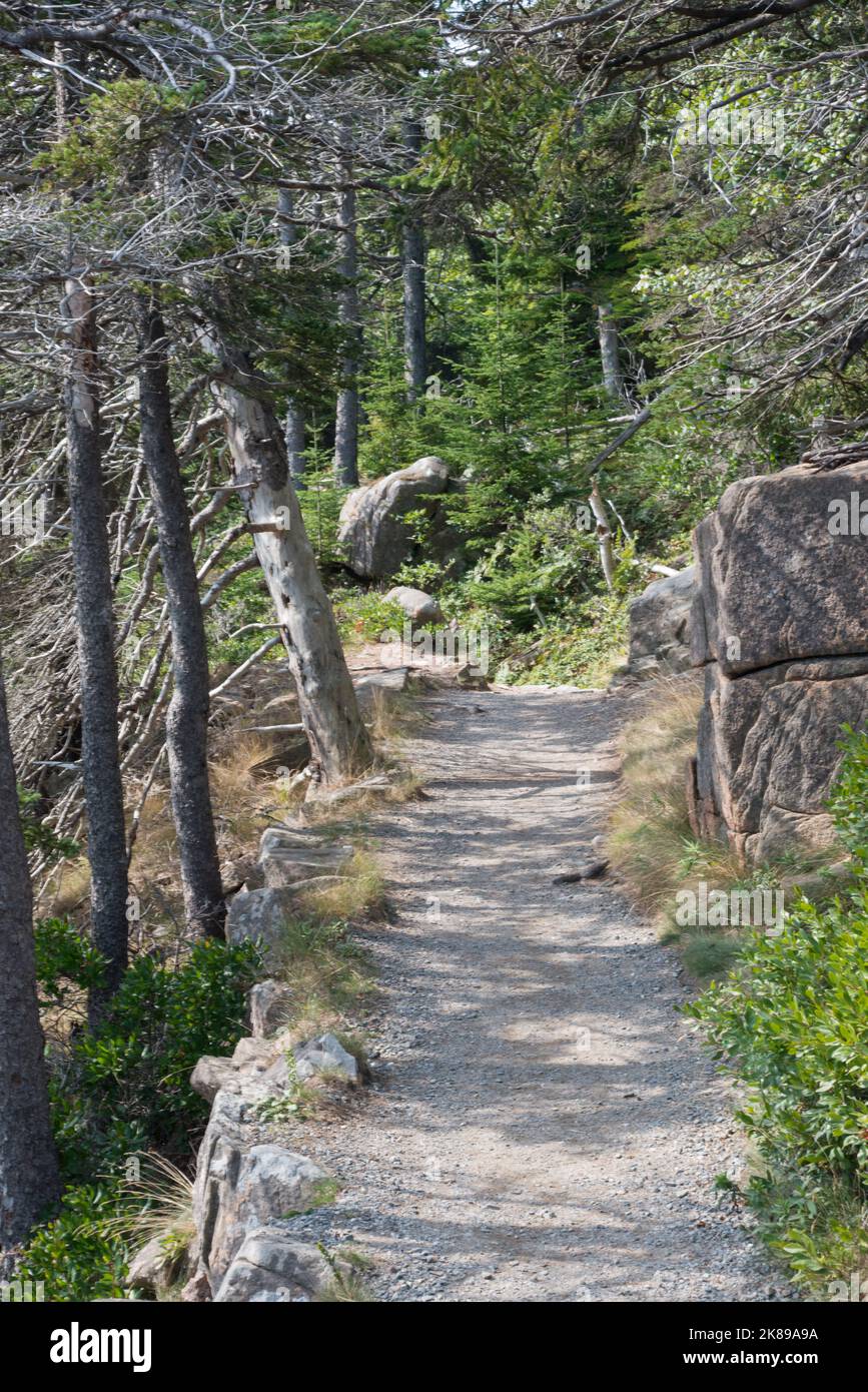 A section of the Ocean Path Trail in Acadia National Park, Mount Desert ...