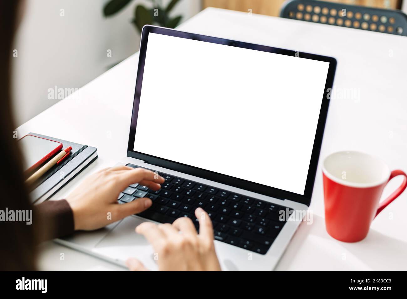Hispanic latin woman working online on mockup laptop computer with ...