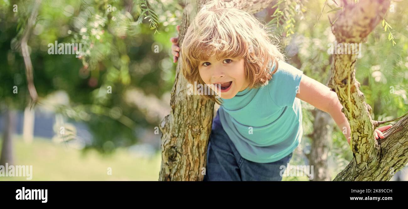Happy energetic boy kid climb tree summer outdoors, tree climbing ...