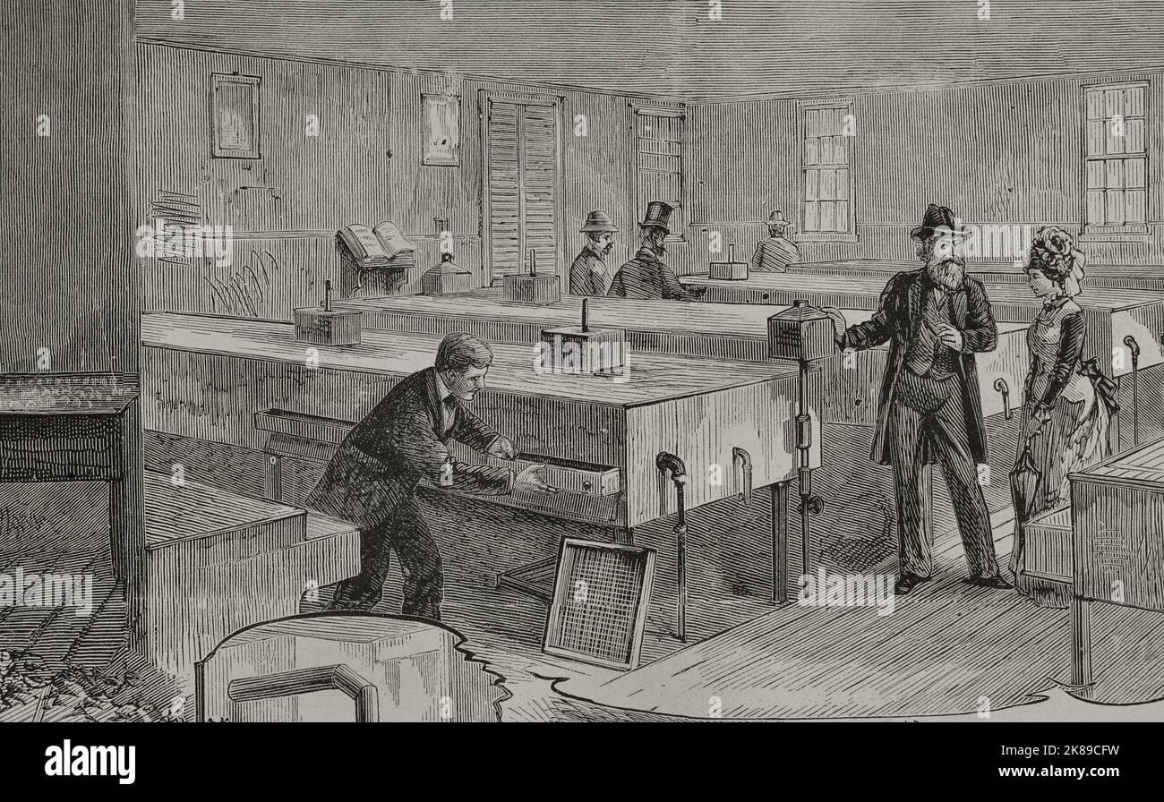 Artificial hatching of hen eggs by the Baker method. Incubators room ...