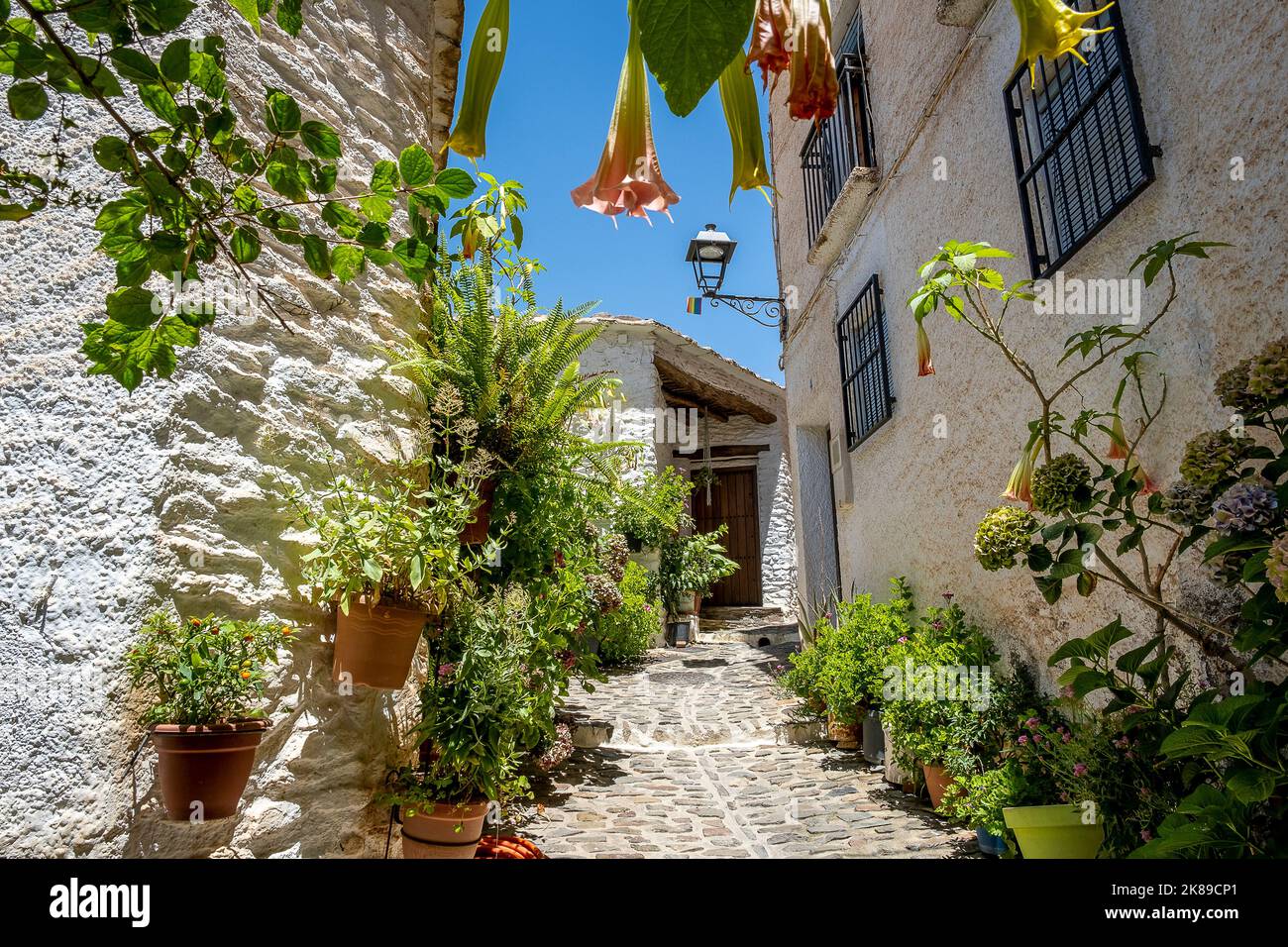Traditional Alpujarra architecture in Pampaneira, a small mountain ...