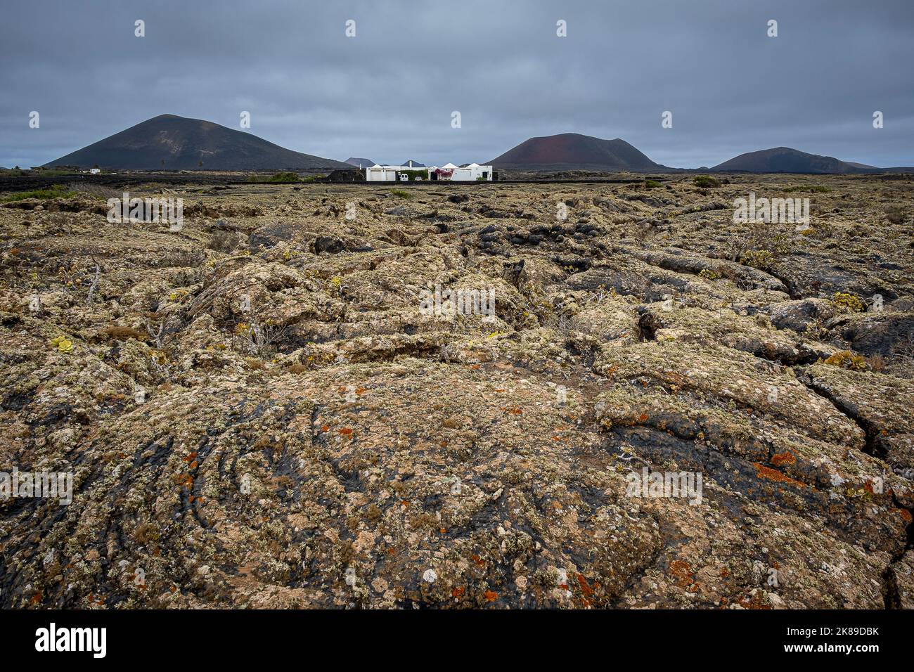 A Lava flows and lichens, in Timanfaya National Park, Lanzarote, Canary ...