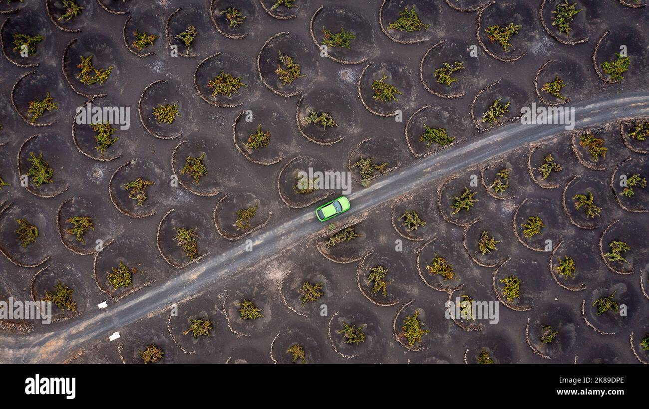 Vinery, La Geria, Lanzarote, Canary Islands, Spain Stock Photo - Alamy