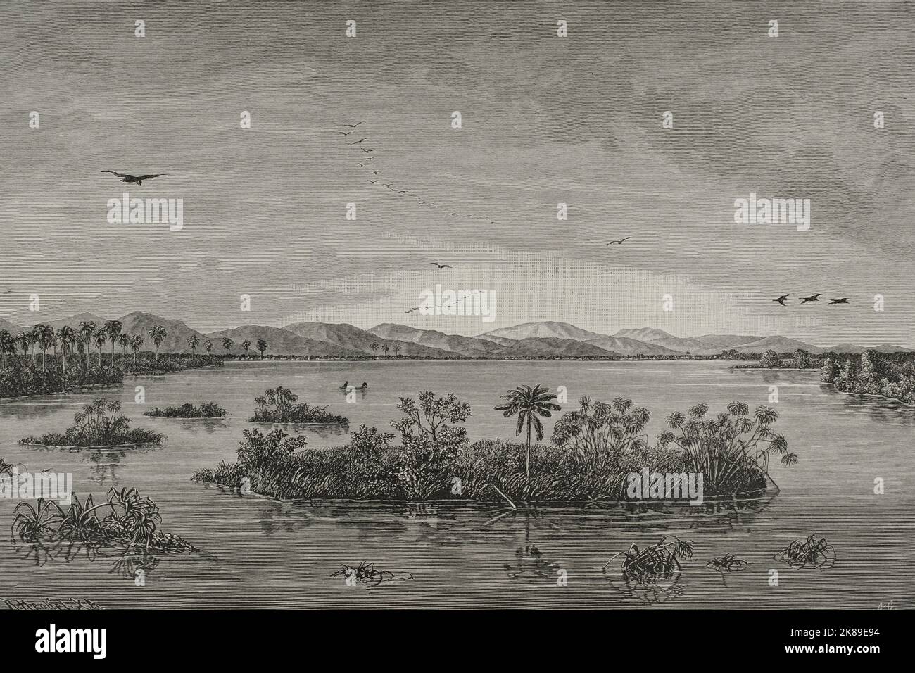 Floating islands in the Upper Congo Stock Photo - Alamy