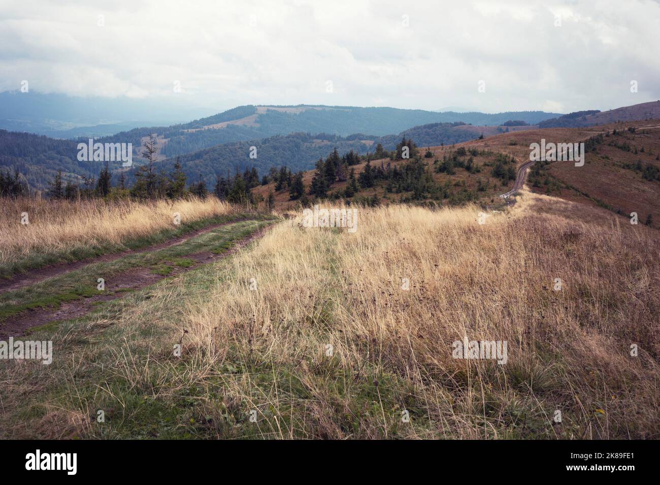 beautiful carpathian mountain landscape. Ukrainian Carpathians Stock ...