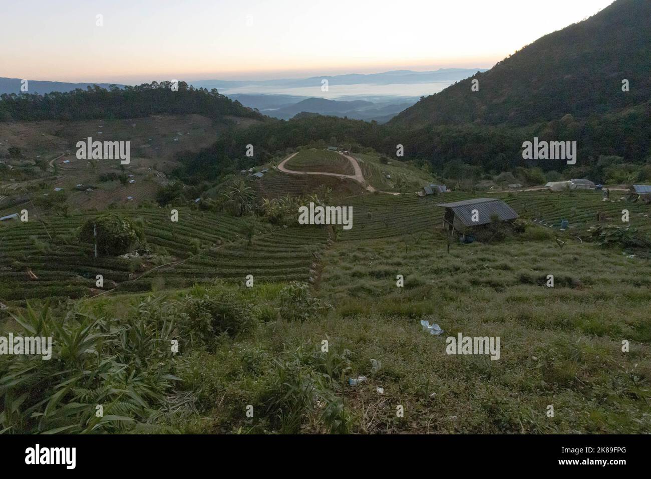 Crop fields surrounding Lahu village in Chiang Mai province. The Lahu ...