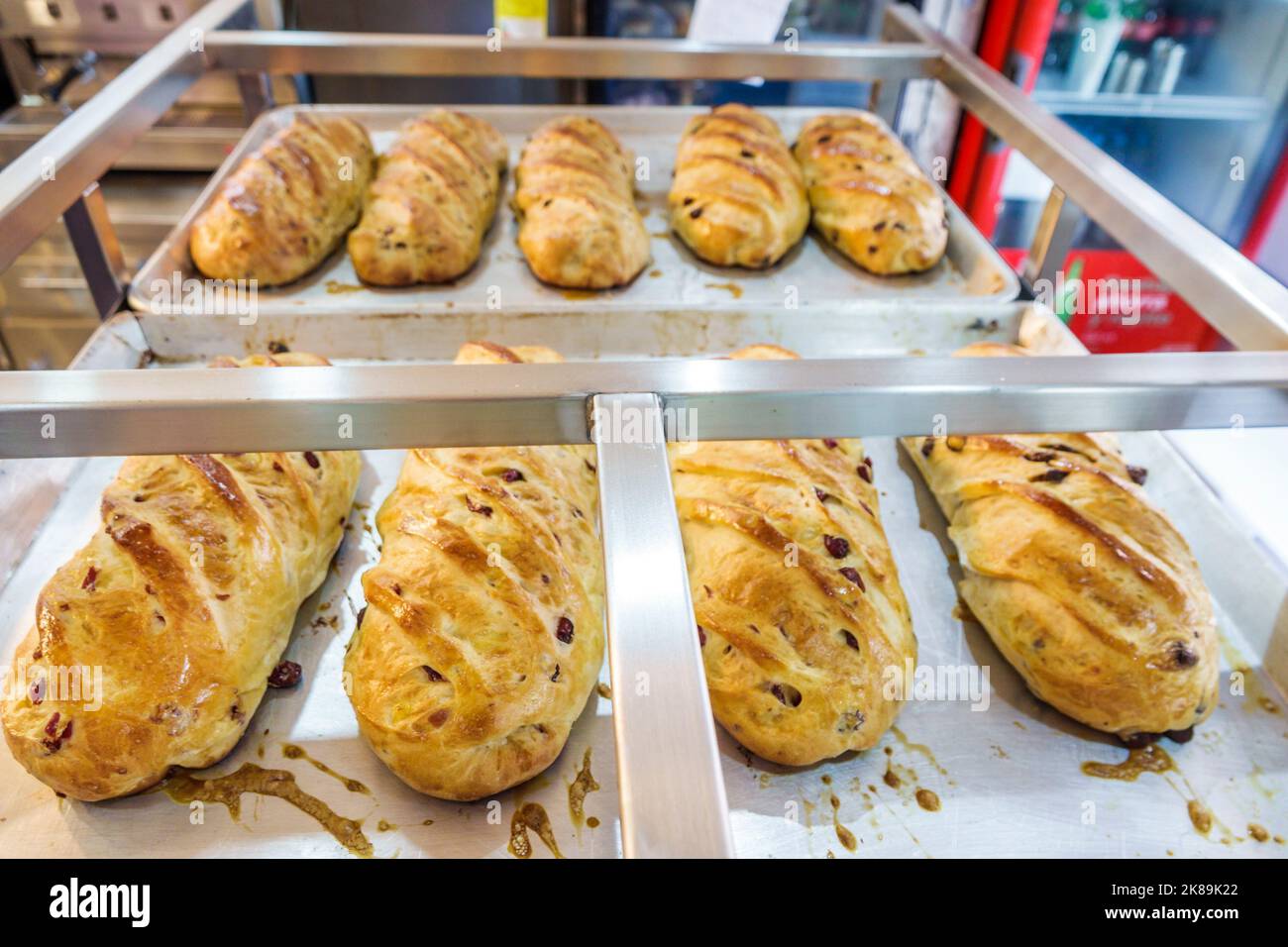 Panatus artisanal bread bakery pan fresh bread loaves raisin raisins hi ...