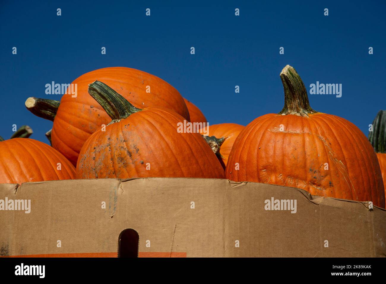Fall halloween hi-res stock photography and images - Alamy