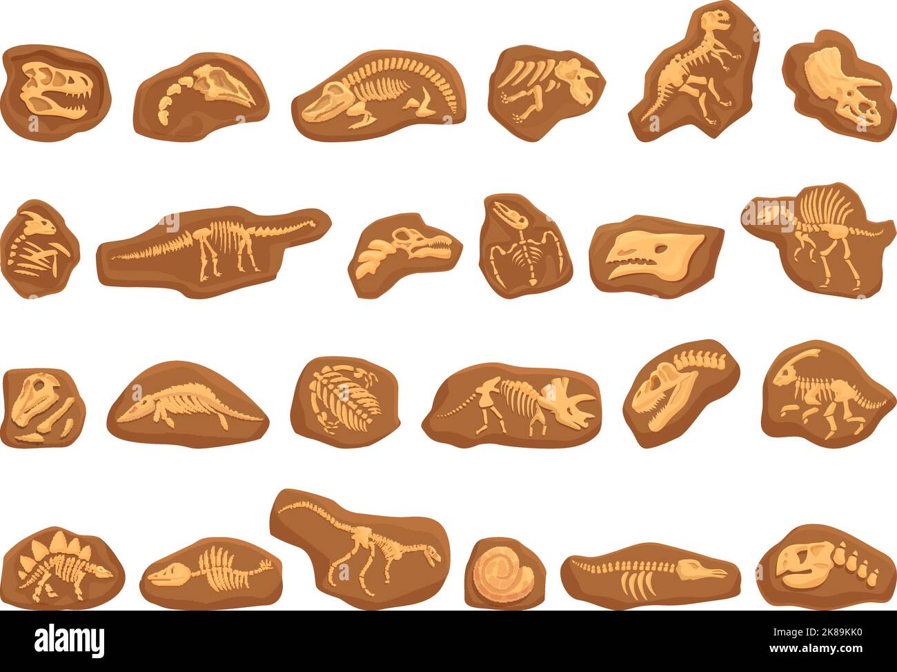 Dinosaur fossil icons set cartoon vector. Nature education. Animal ...