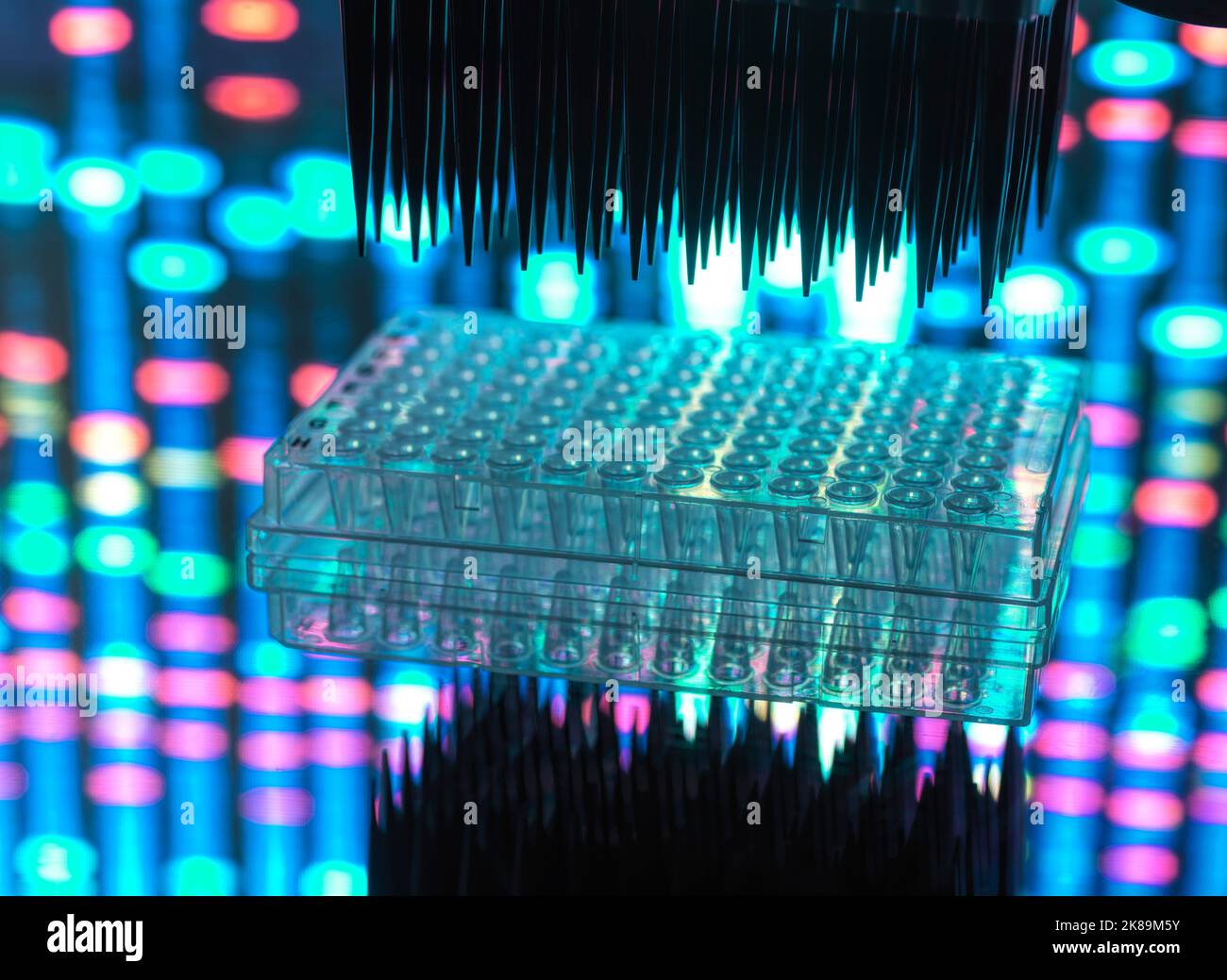 Dna profile experiment hi-res stock photography and images - Alamy