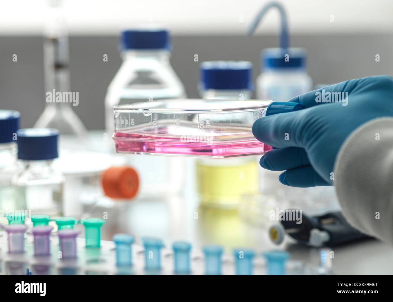 Cell genomics hi-res stock photography and images - Alamy