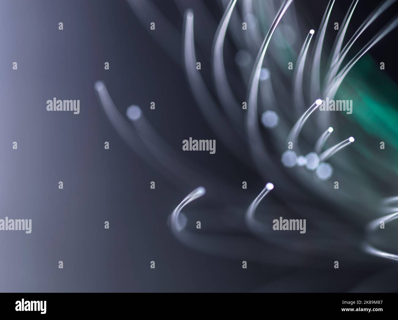 Fibre internet hi-res stock photography and images - Alamy