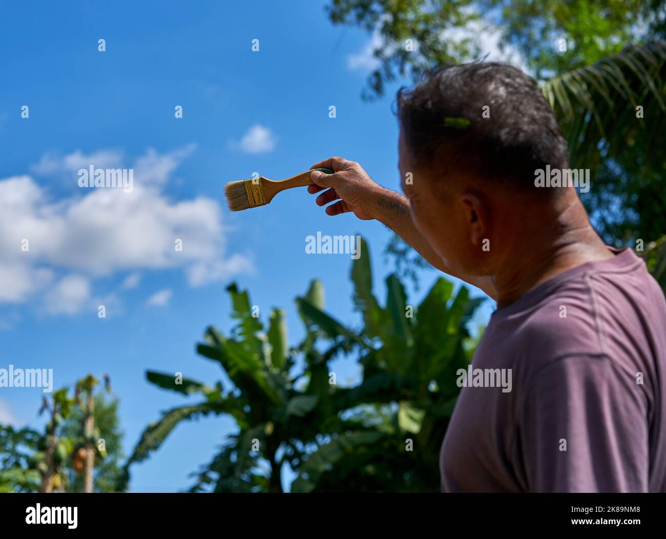 Human person painting hi-res stock photography and images - Alamy