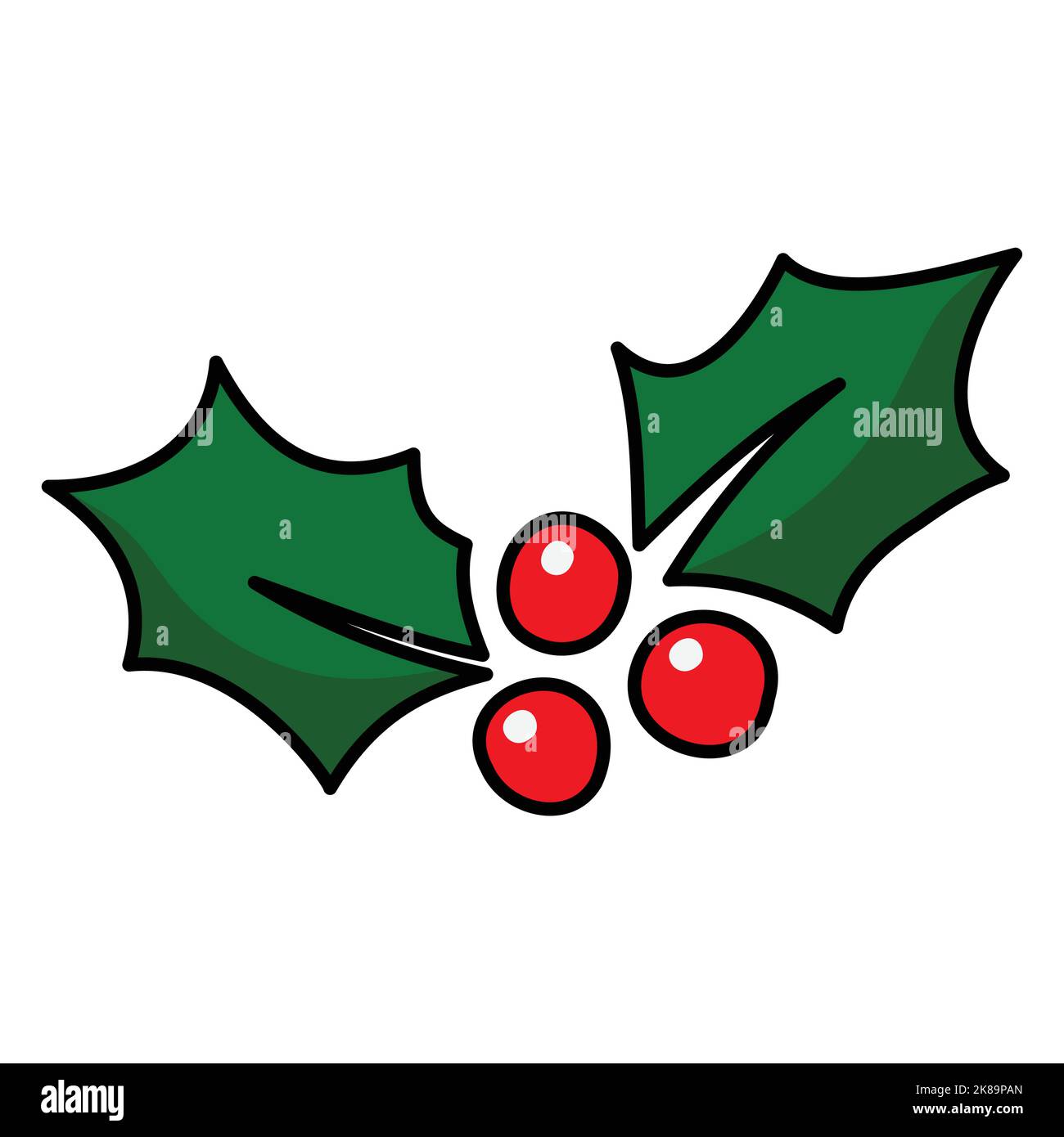 Christmas holly leaves with red berries Vector Illustration, for ...