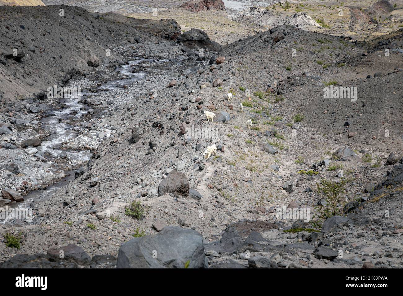 Loowit falls mount st helens hi-res stock photography and images - Alamy