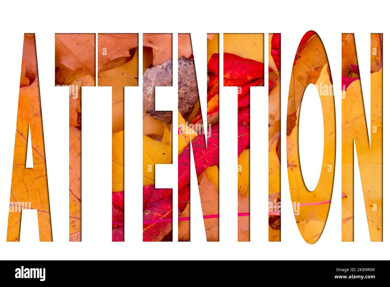 Autumn leaves, objects with Attention text. Natural patterns, color ...