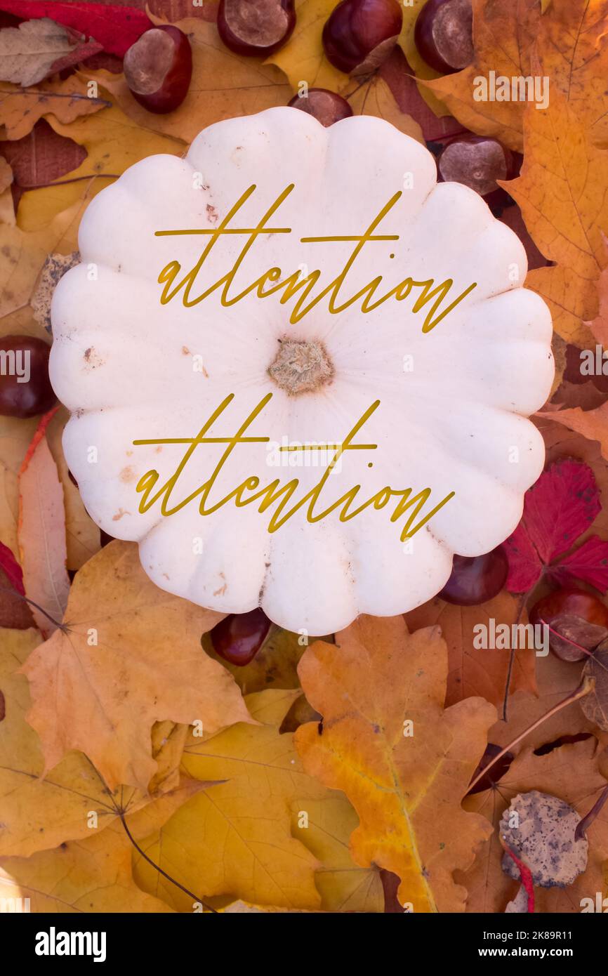 Autumn leaves, objects with Attention text. Natural patterns, color ...