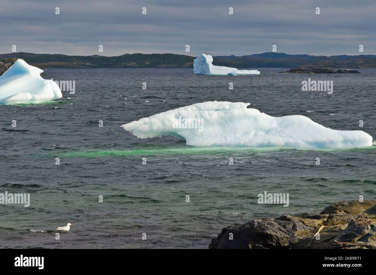 Bright white iceberg on dark water and rock background Stock Photo - Alamy
