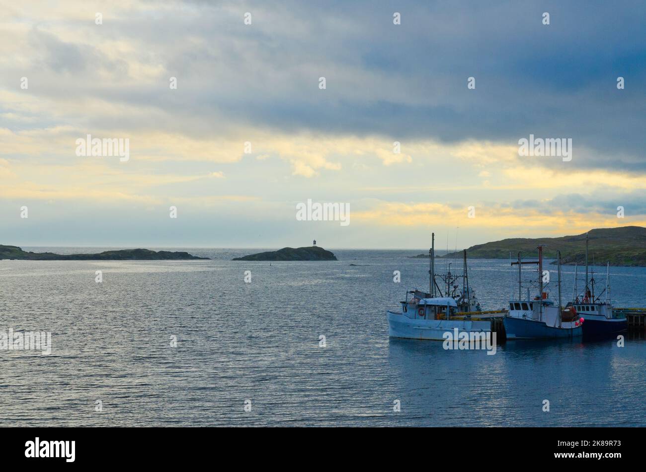 Newfoundland coast in summer time Stock Photo - Alamy