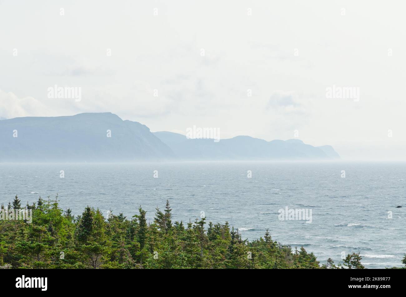 Newfoundland coast in summer time Stock Photo - Alamy