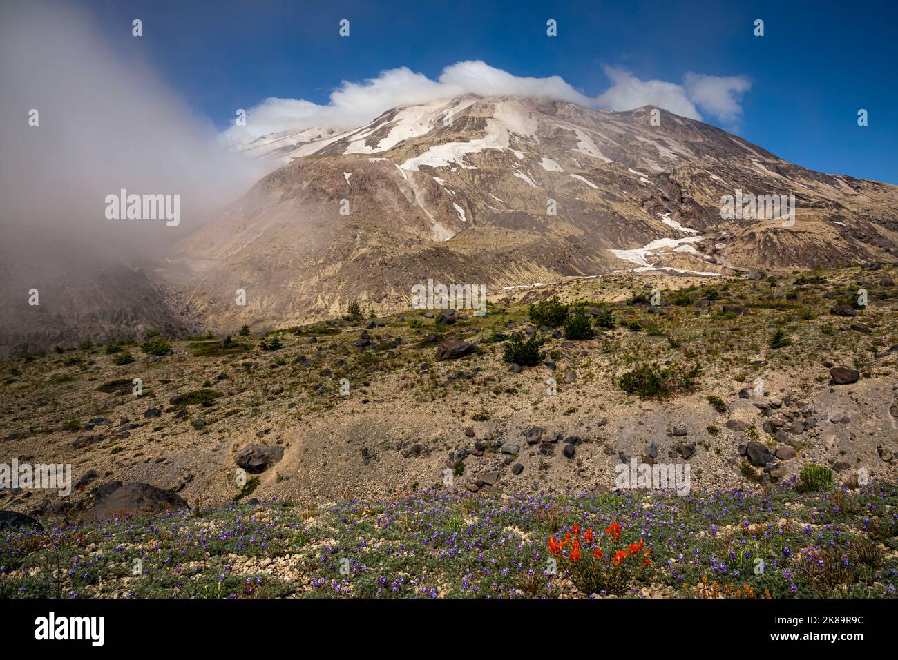 WA22486-00...WASHINGTON - Fog forming around the Plains of Abraham and ...