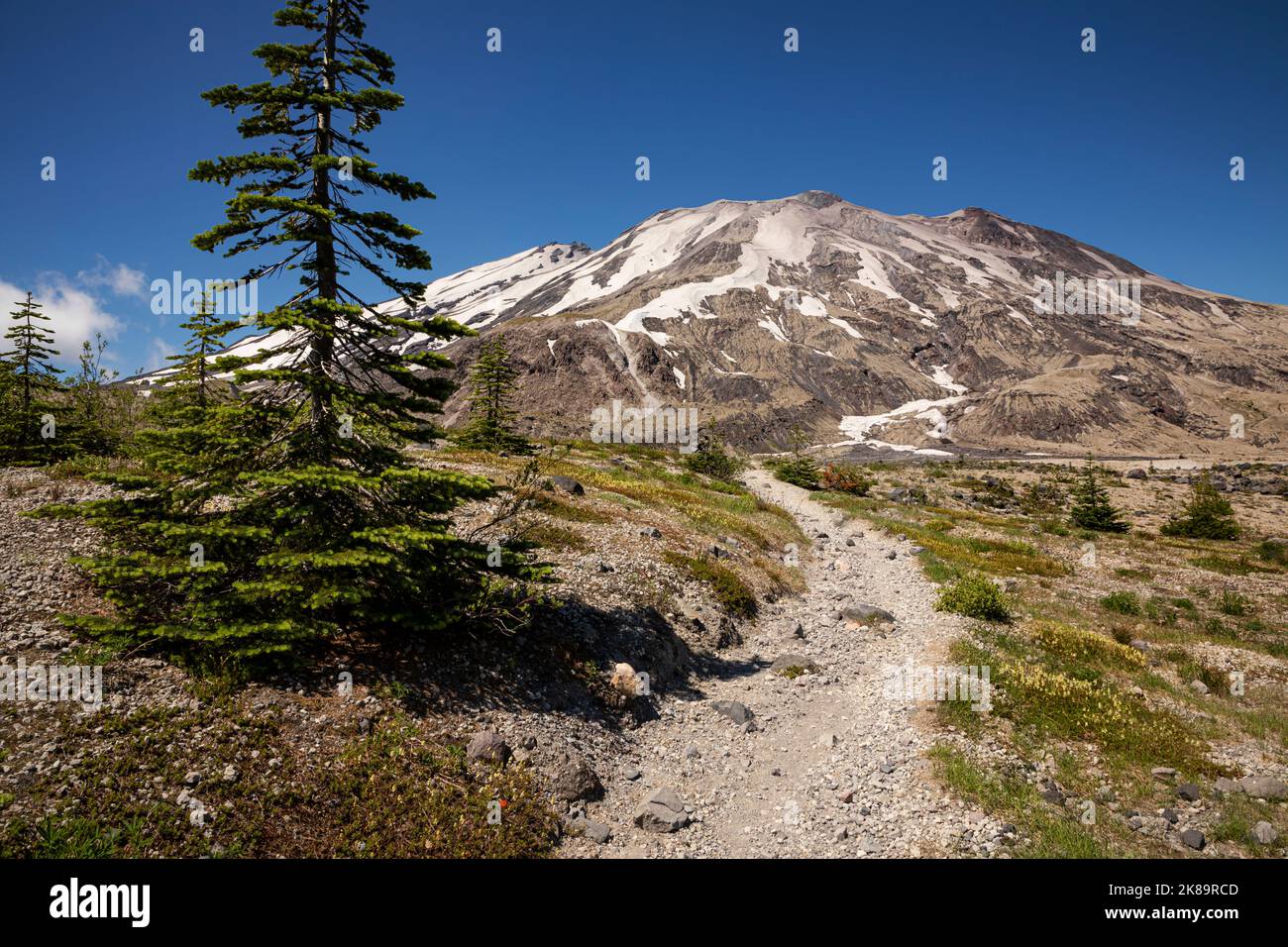 WA22500-00...WASHINGTON - The Loowit Trail in the Plains of Abraham ...