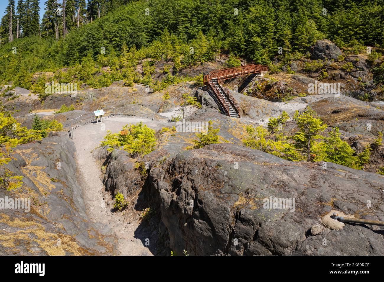 WA22501-00...WASHINGTON - The trail down Lava Canyon paralleling the ...