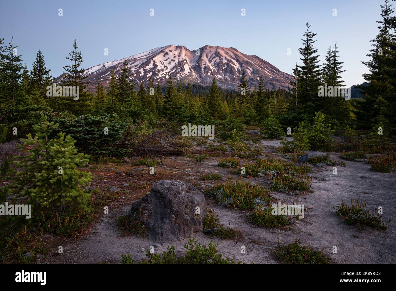 WA22505-00...WASHINGTON - Dawn light on Mount St. Helens from the Lahar ...