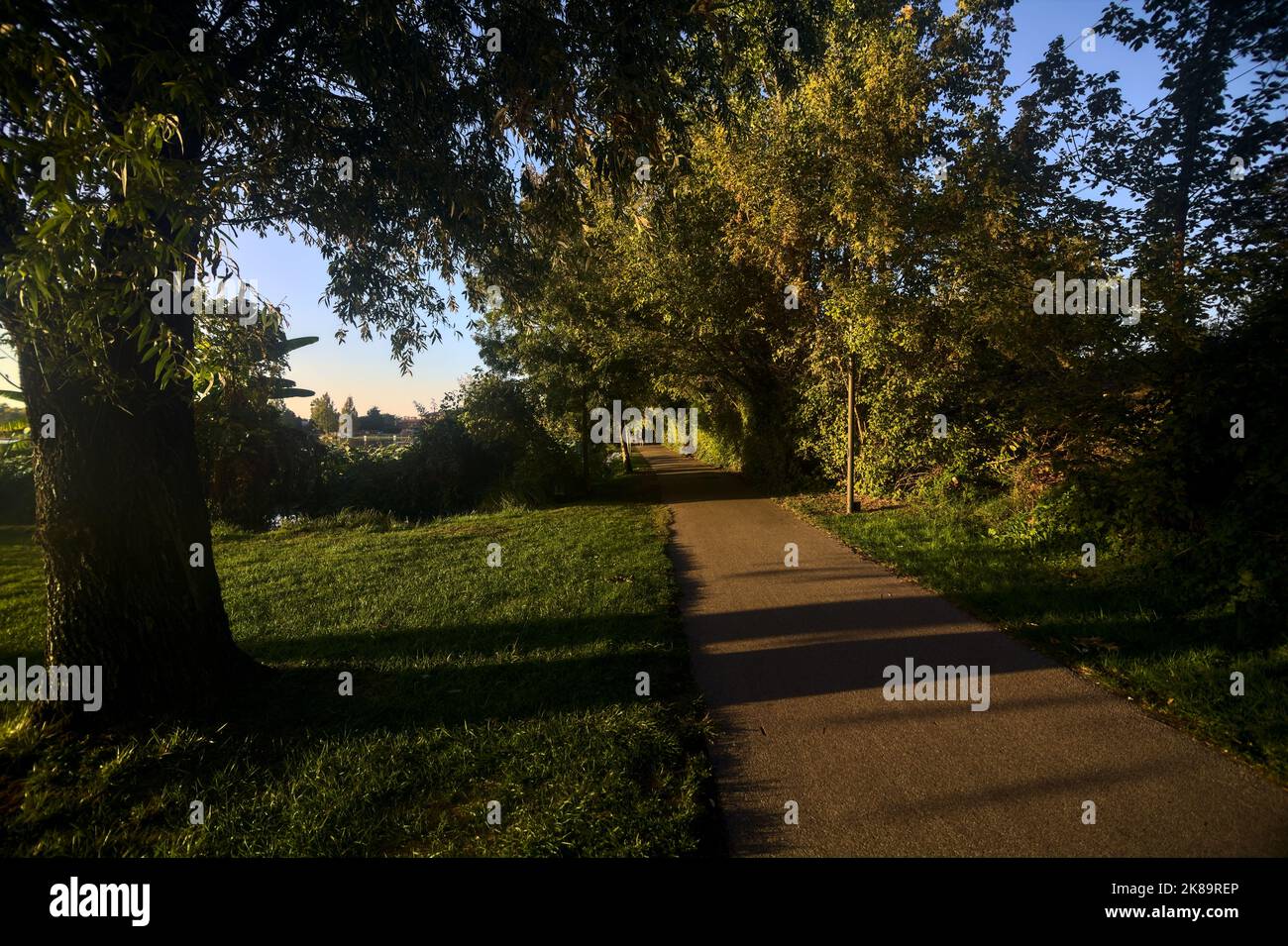 Paved path in a park by the lakeshore at sunset Stock Photo - Alamy