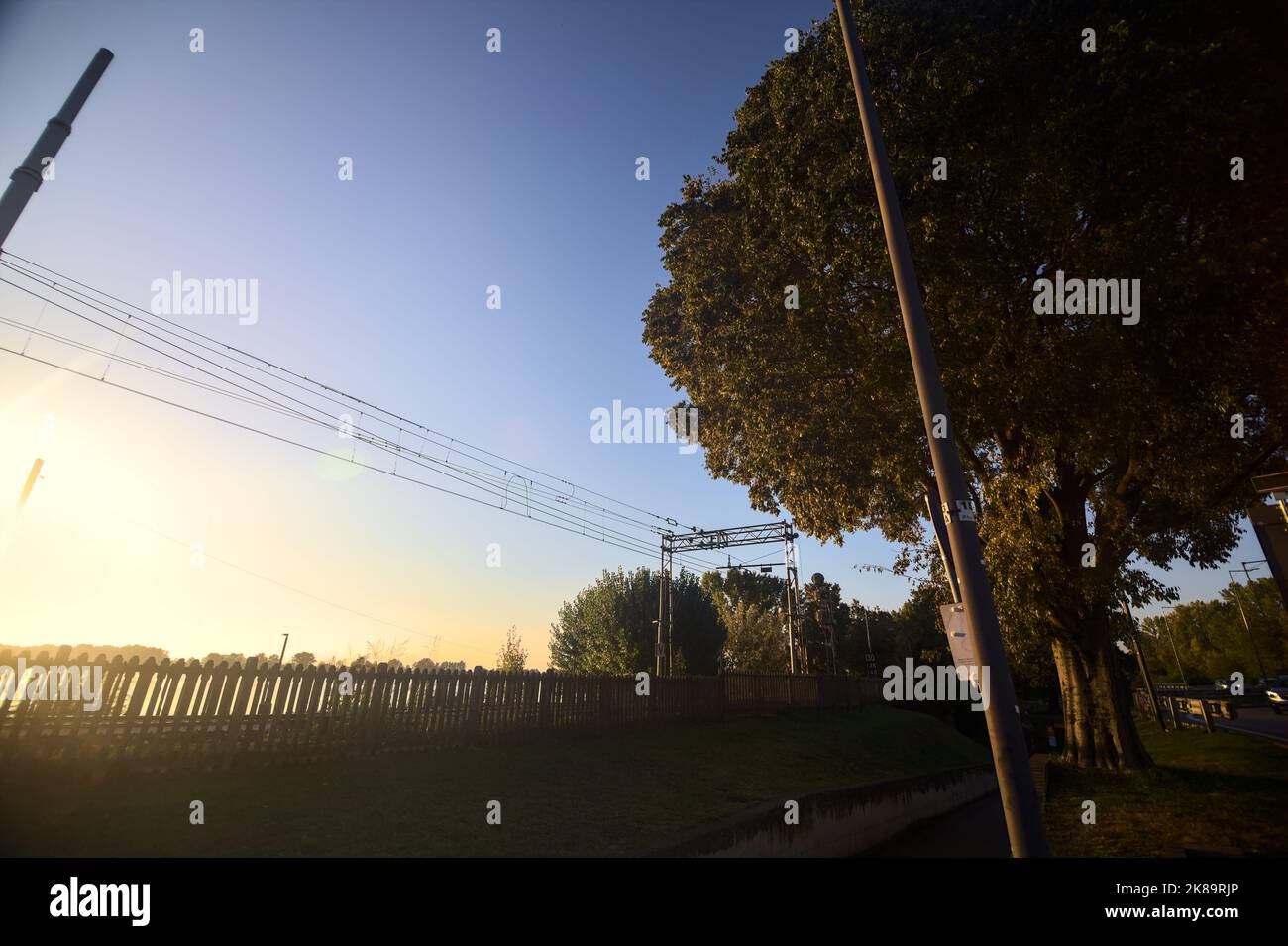 Railroad track and a tree in a park at sunset Stock Photo - Alamy