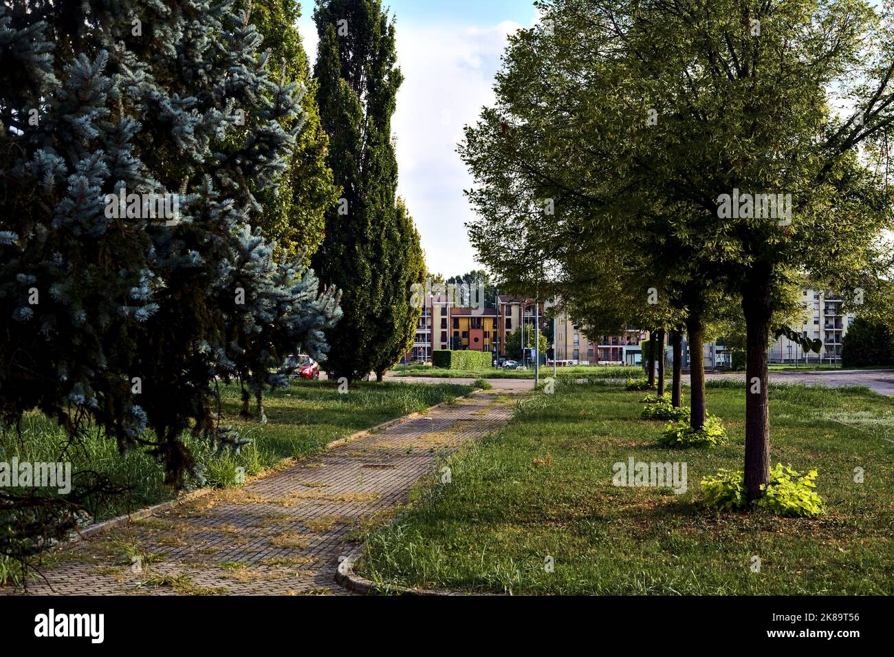 Paved path in a residential area of an italian town Stock Photo - Alamy