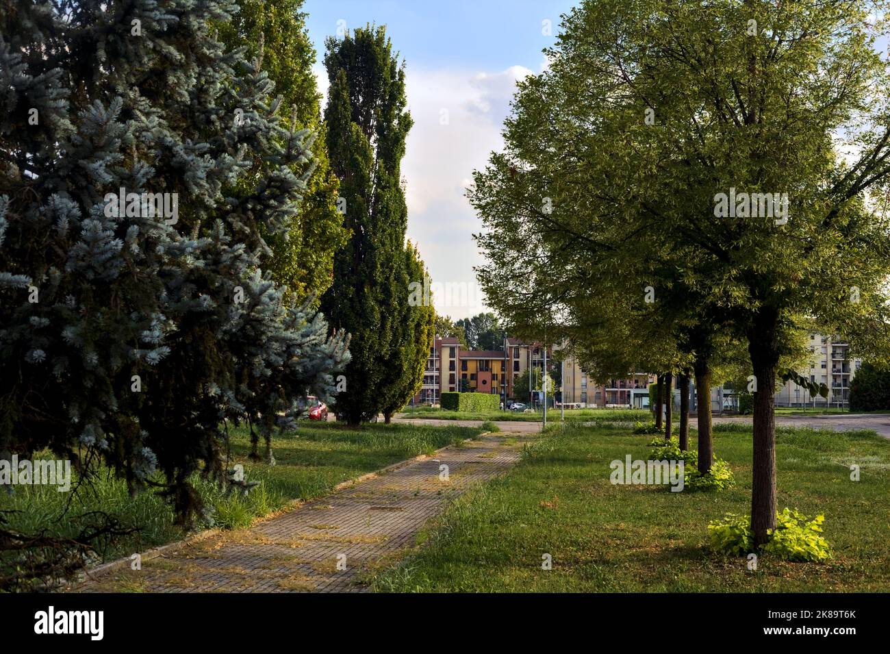 Paved path in a residential area of an italian town Stock Photo - Alamy